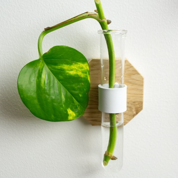 Test Tube Vase - Etsy UK