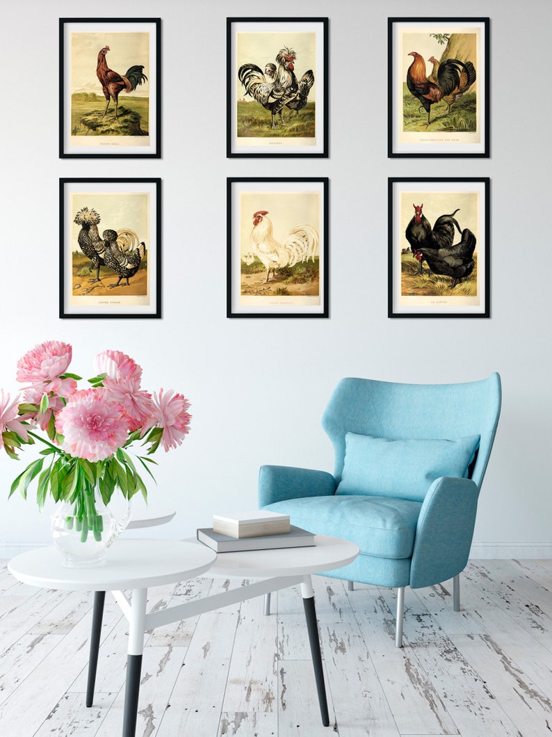 Framed Vintage Chicken Print Natural History Chicken Art - Etsy