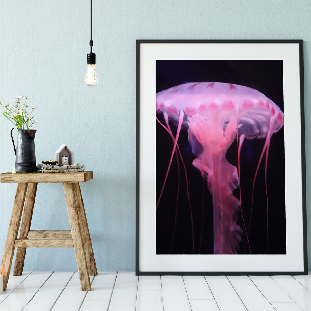 Framed Jellyfish Print, Abstract Jelly Fish Photography Marine Print ...