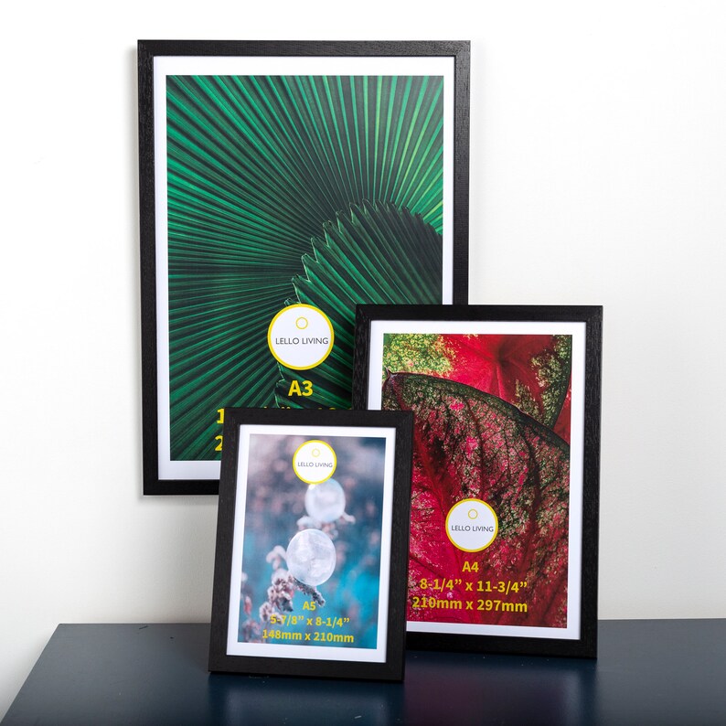 Framed White Birch Trees Print, Birch Photo Abstract Landscape Print ...