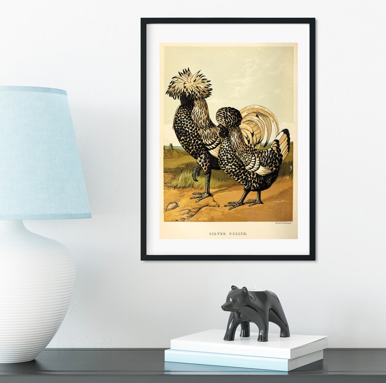 Set of 6 Framed Vintage Chicken Prints Set of Bird Art - Etsy