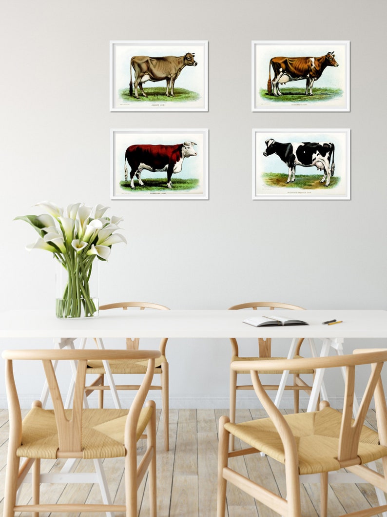 Framed Vintage Cow Print, Natural History Cow Art Print, Framed Cattle ...