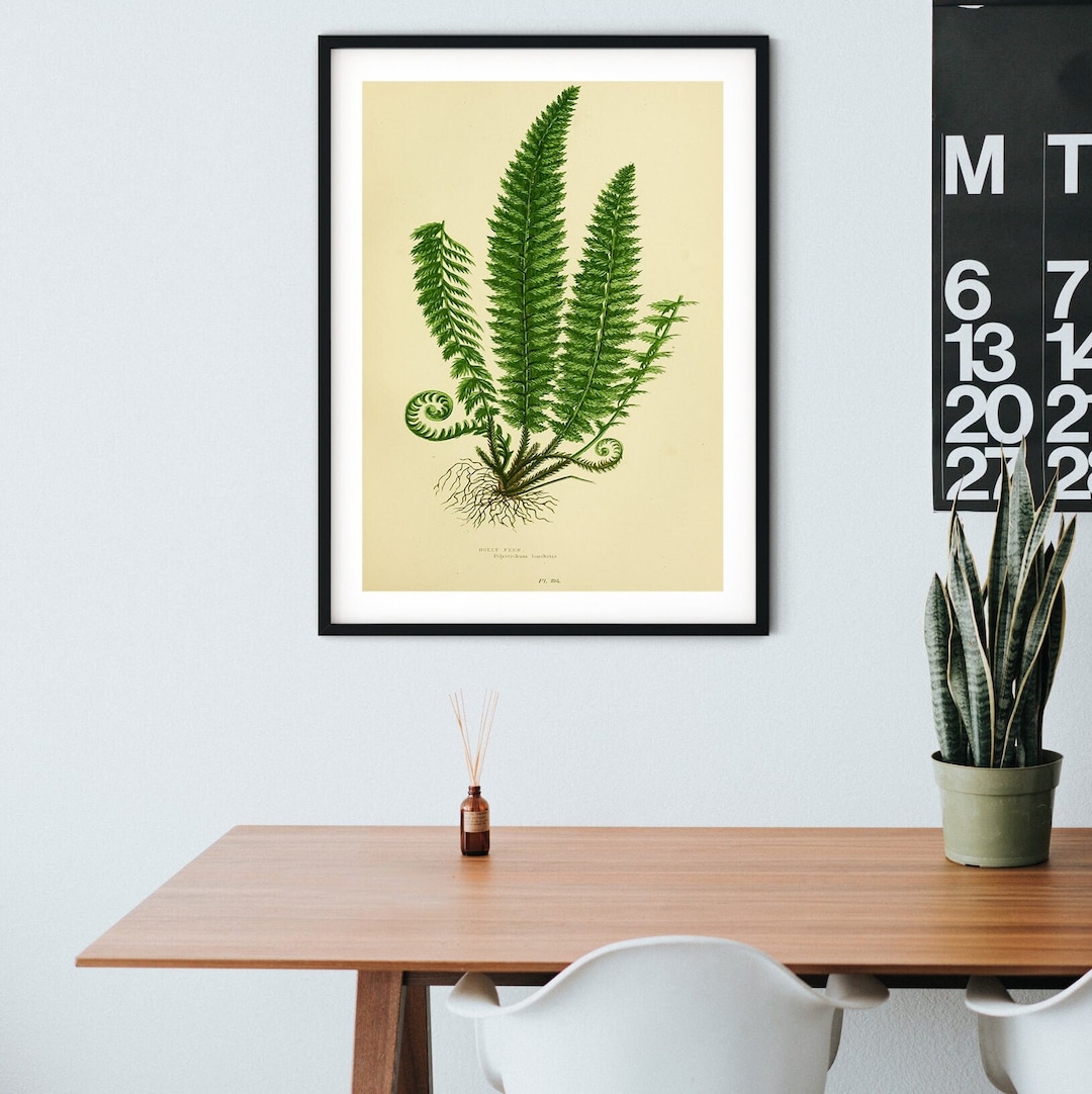 Fern Wall Art, Botanical Fern Art Print of Green Fern 6 of 6 - Etsy