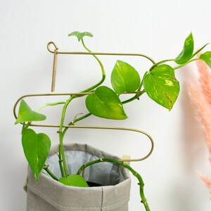 Curved Plant Support Indoor Plant Stake, Indoor Metal Trellis for Stem ...