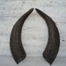 Real Goat Horn Natural Horn Pagan Gothic Supplies Ram - Etsy