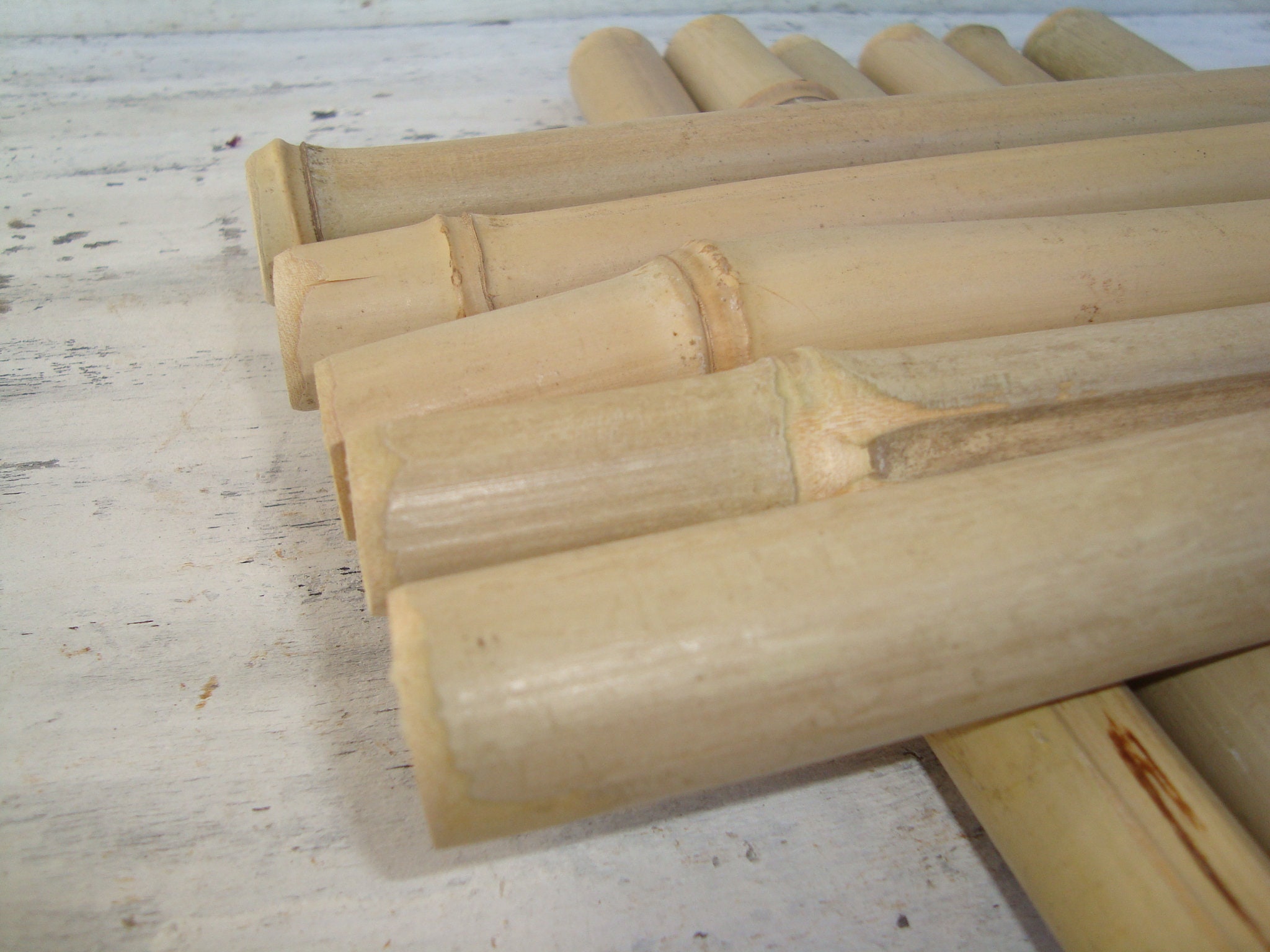 Bamboo Sticks , 9 Bamboo for Crafts, Wood for Crafts, Green Bamboo ...
