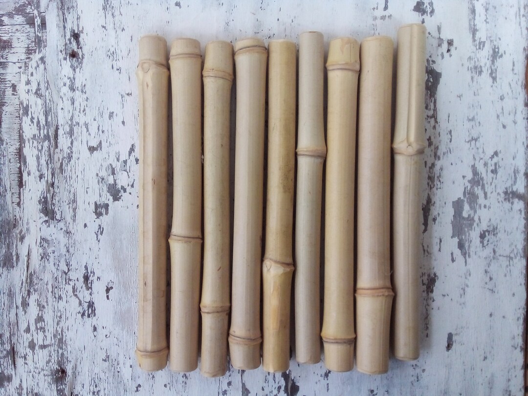 Bamboo Sticks , 9 Bamboo for Crafts, Wood for Crafts, Green Bamboo ...