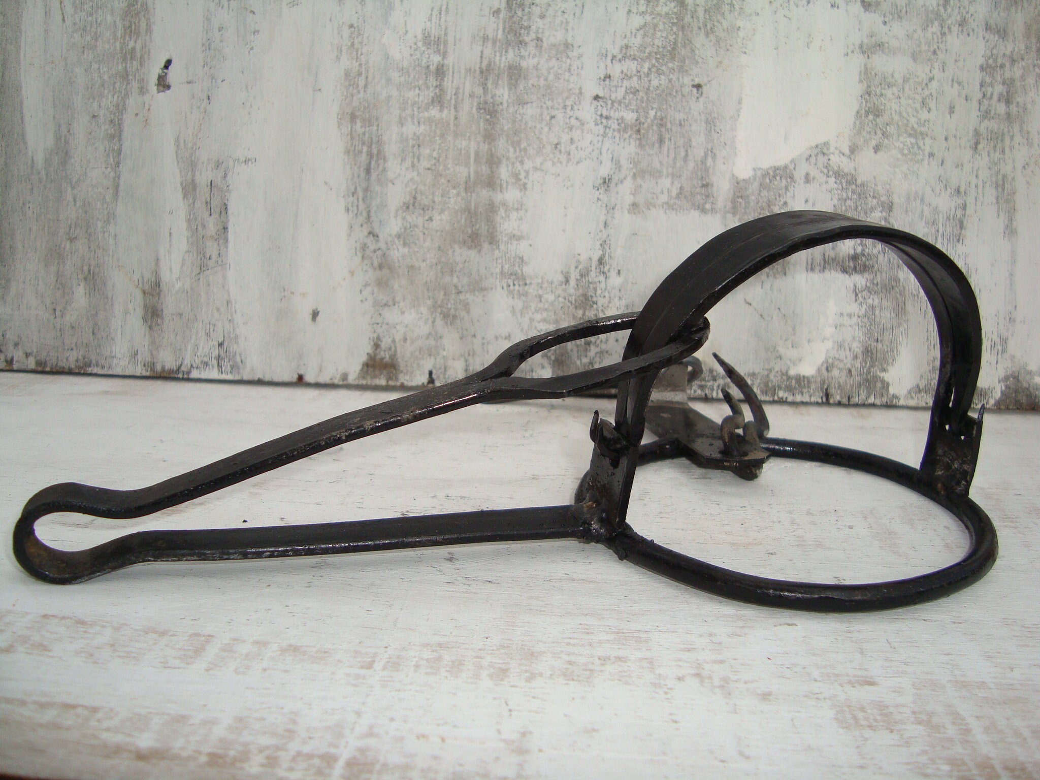 Original trap. A real trap. Trap used for all kind of | Etsy