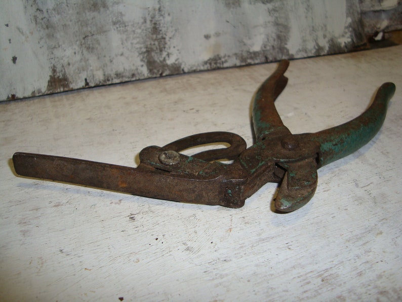 Antique Nippers Old Pliers Antique Blacksmith Tool Vintage Nipper ...