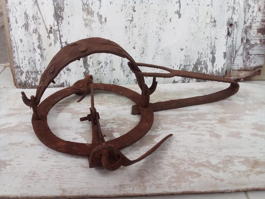 Bear Trap. A Real Trap. Trap Used for Bears. Vintage Trap for All Kinds ...