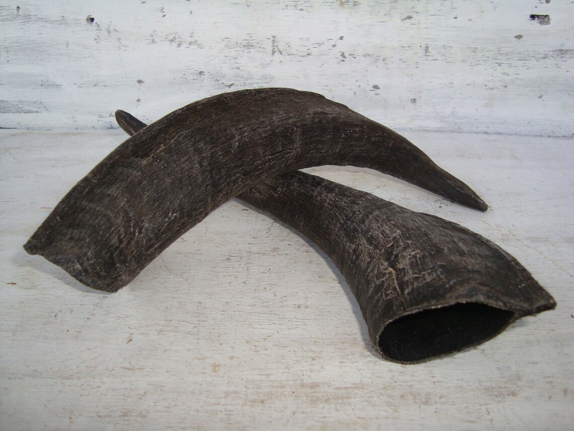 Real Goat Horn Natural Horn Pagan Gothic Supplies Ram - Etsy