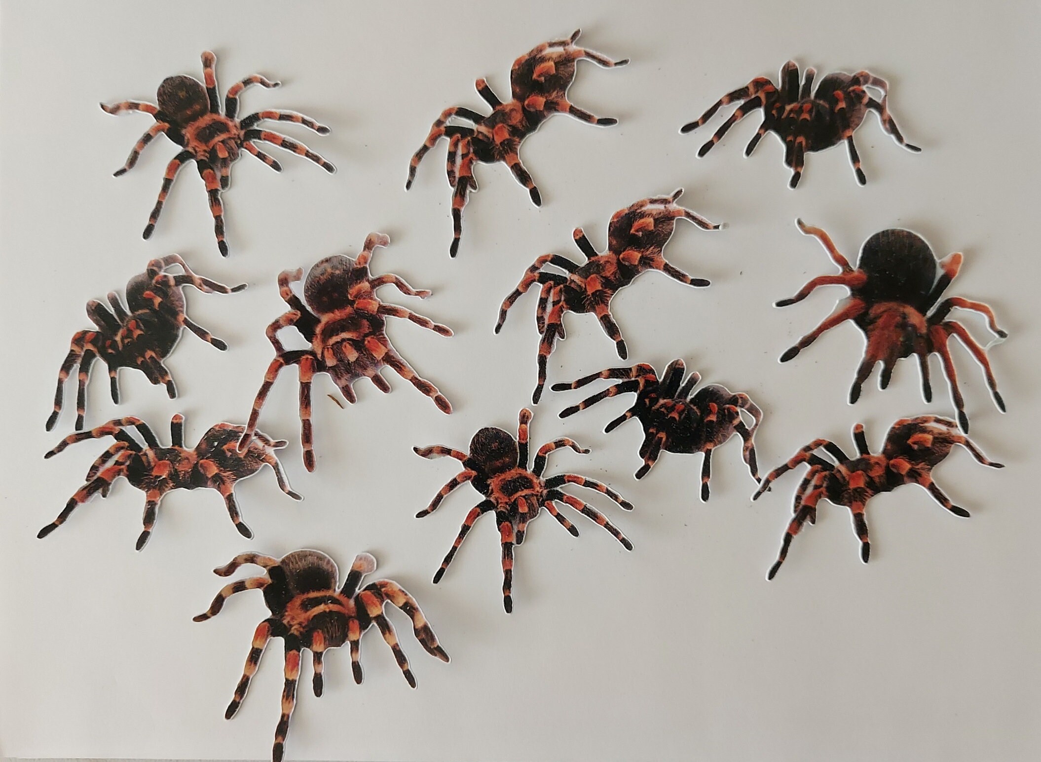 PRE-CUT Tarantula Spiders Edible Wafer Paper Cup Cake Toppers - Etsy