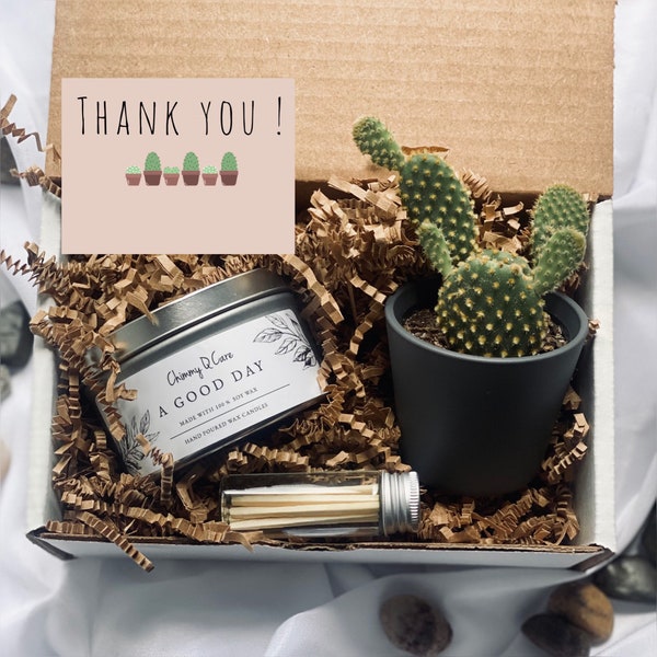 Plant Gift - 60+ Gift Ideas for 2024