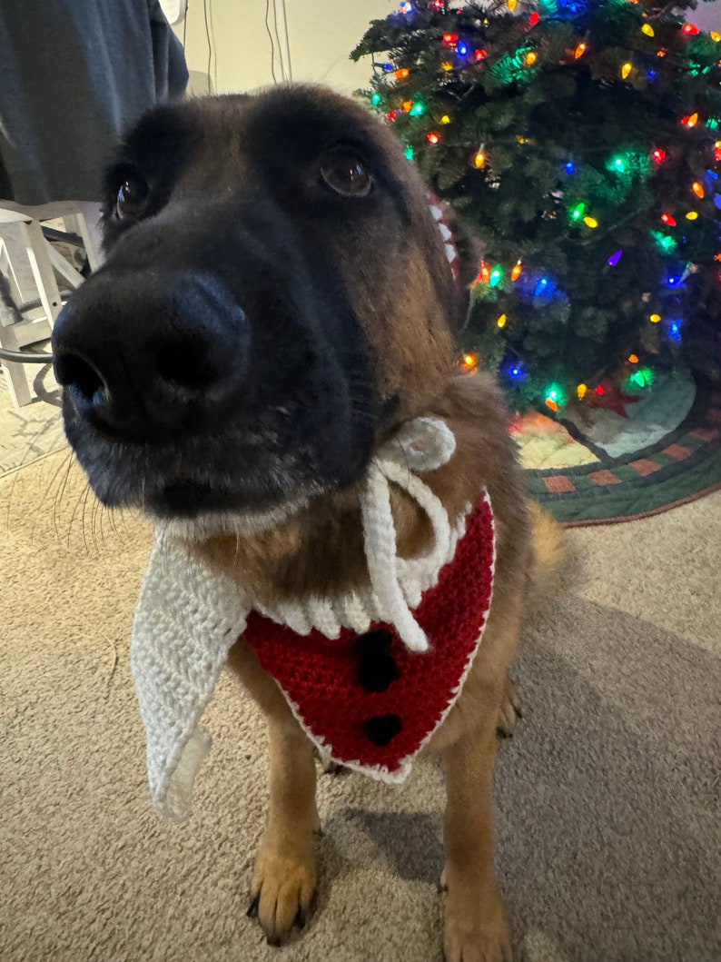Christmas Santa Dog Bandana PDF Pattern Dog Bandana Only - Etsy