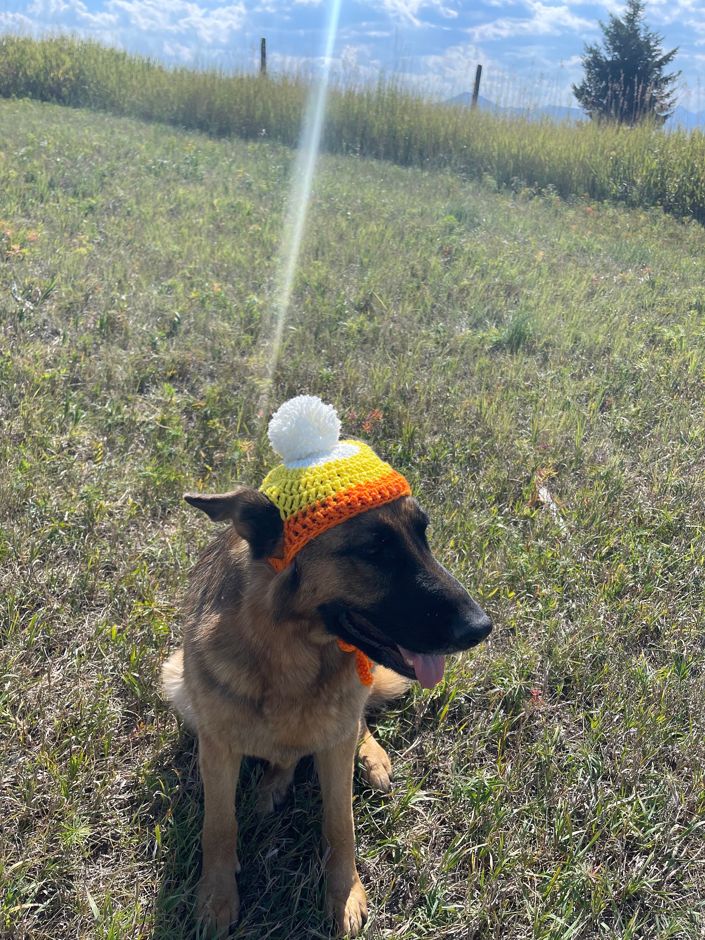 Large Crochet Dog Beanie PDF Pattern - Etsy