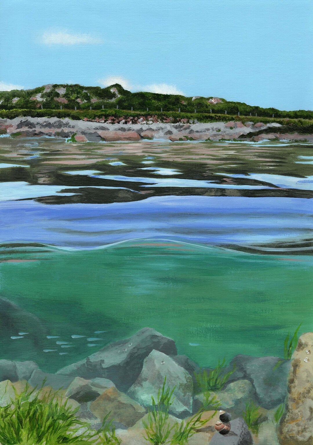 Rockpool, Gower, Rock Pool, Fishes, Fish, Periwinkles, Underwater ...