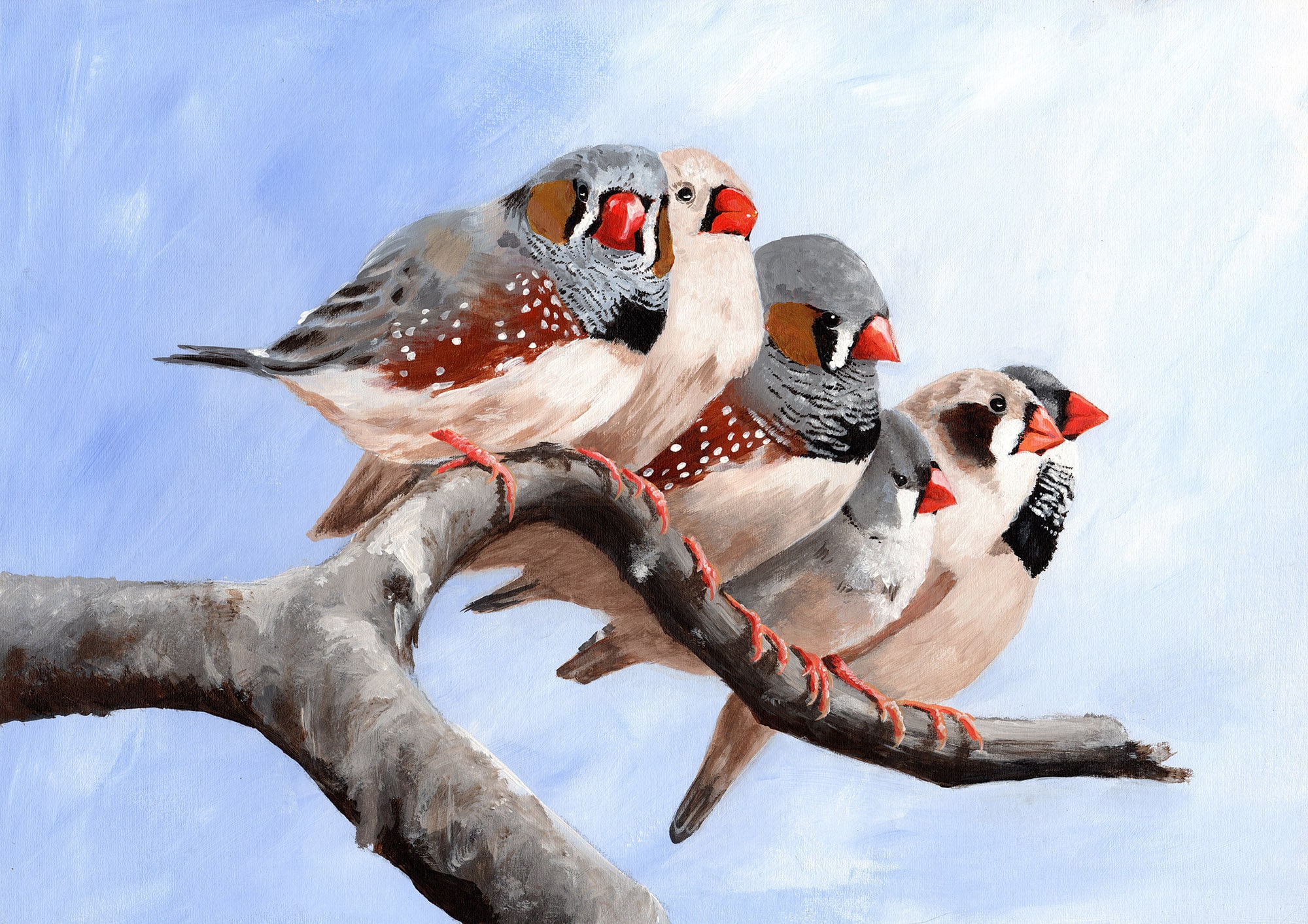 Zebra Finches, Birds of a Feather, Finches, Finch, Acrylic Paint ...