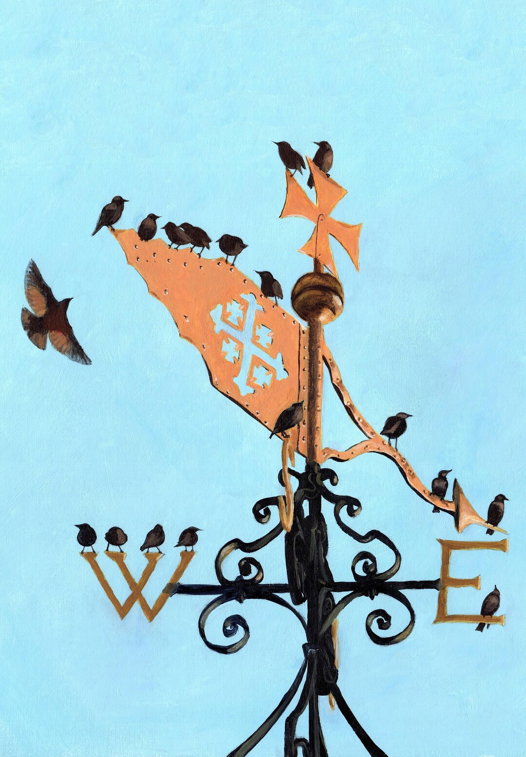 Weathervane, Starlings, County Hall, Museum, Rooftops, Abingdon ...