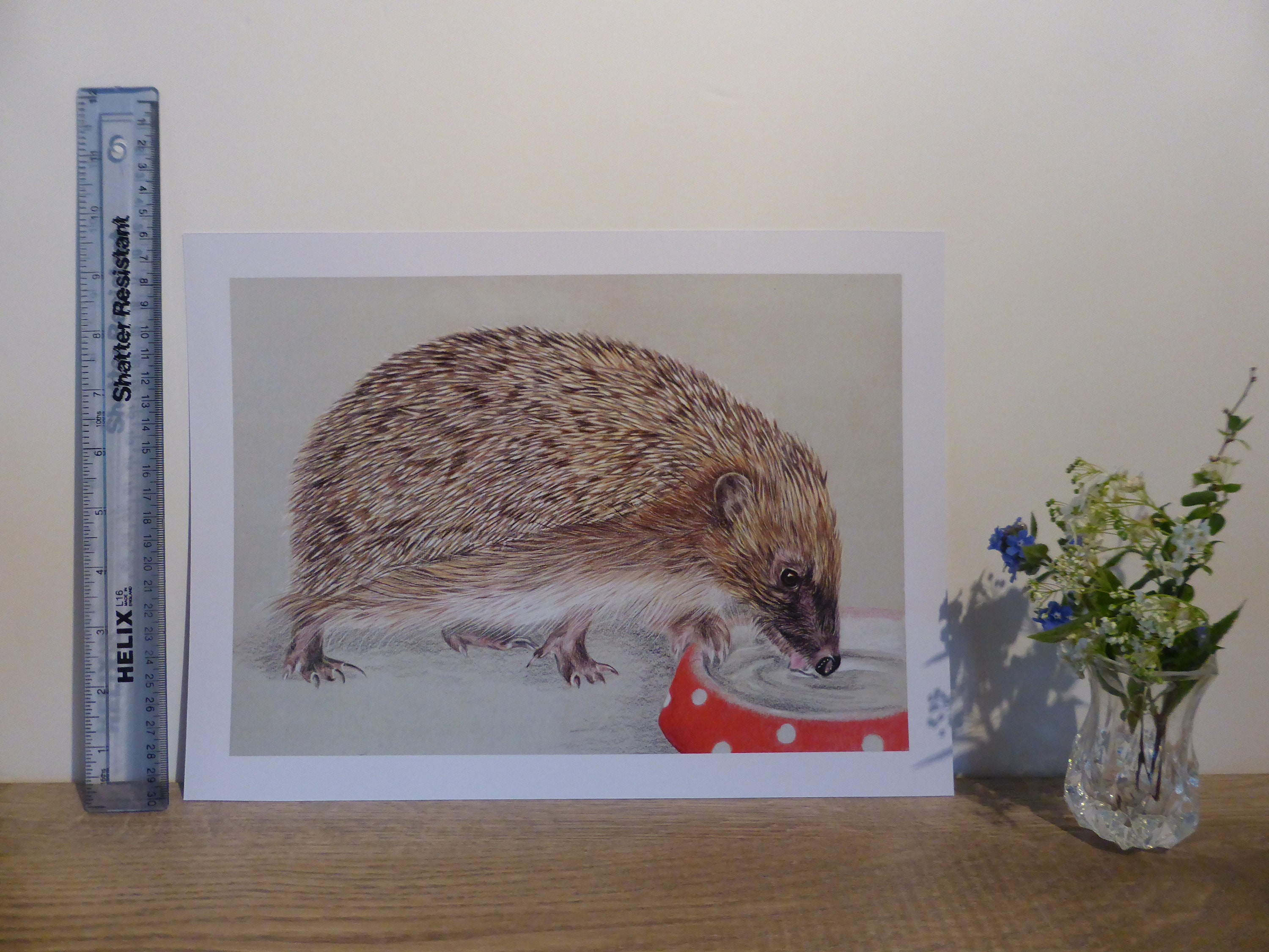 Hedgehog Art Print: Limited Edition British Wildlife Pencil Drawing (A4 ...