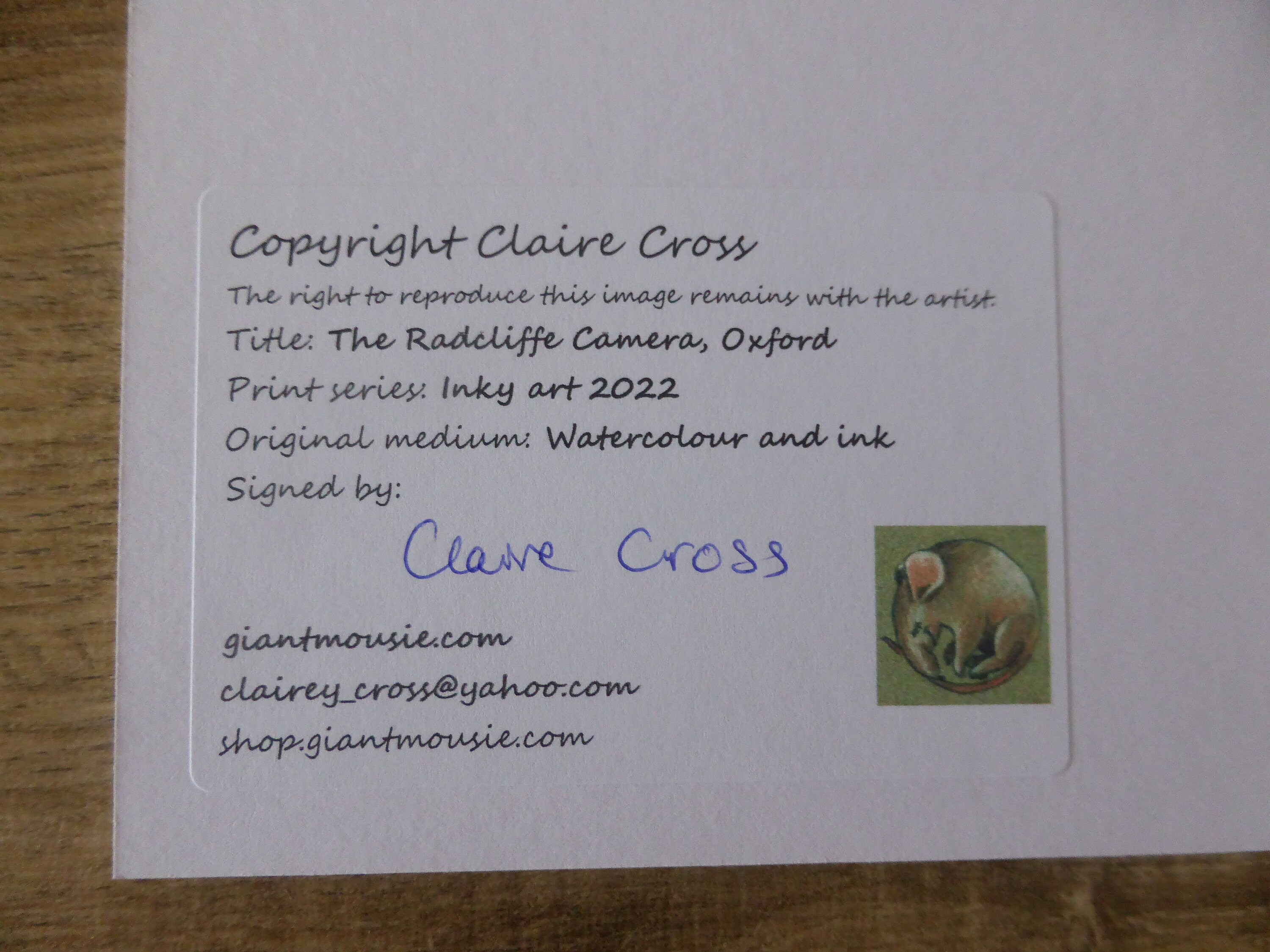 Radcliffe Camera, Bodleian Library, Oxford Print, Mounted Print, Pen ...