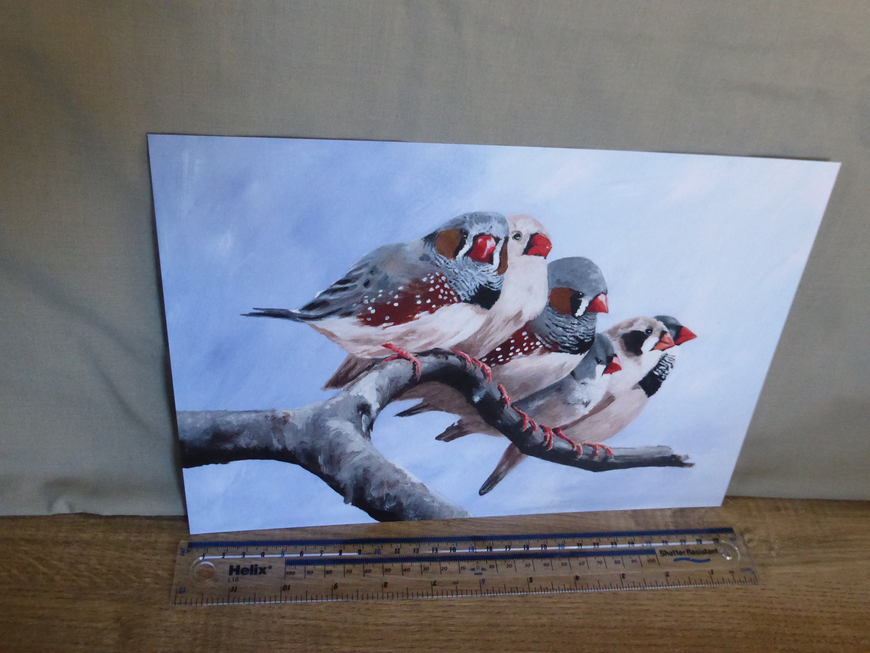 Zebra Finches, Birds of a Feather, Finches, Finch, Acrylic Paint ...