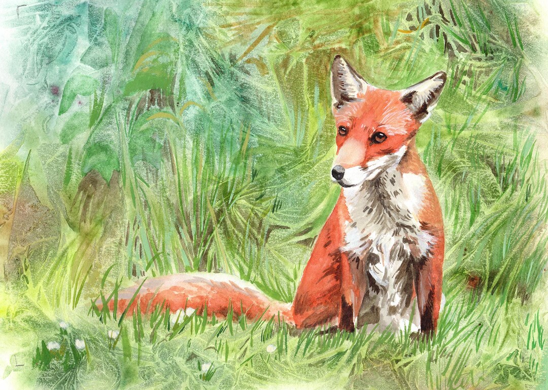 Fox, Scratching Fox, Pencil Drawing, Chalk Pastels, Pastel, Colour ...