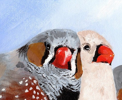 Zebra Finches, Birds of a Feather, Finches, Finch, Acrylic Paint ...