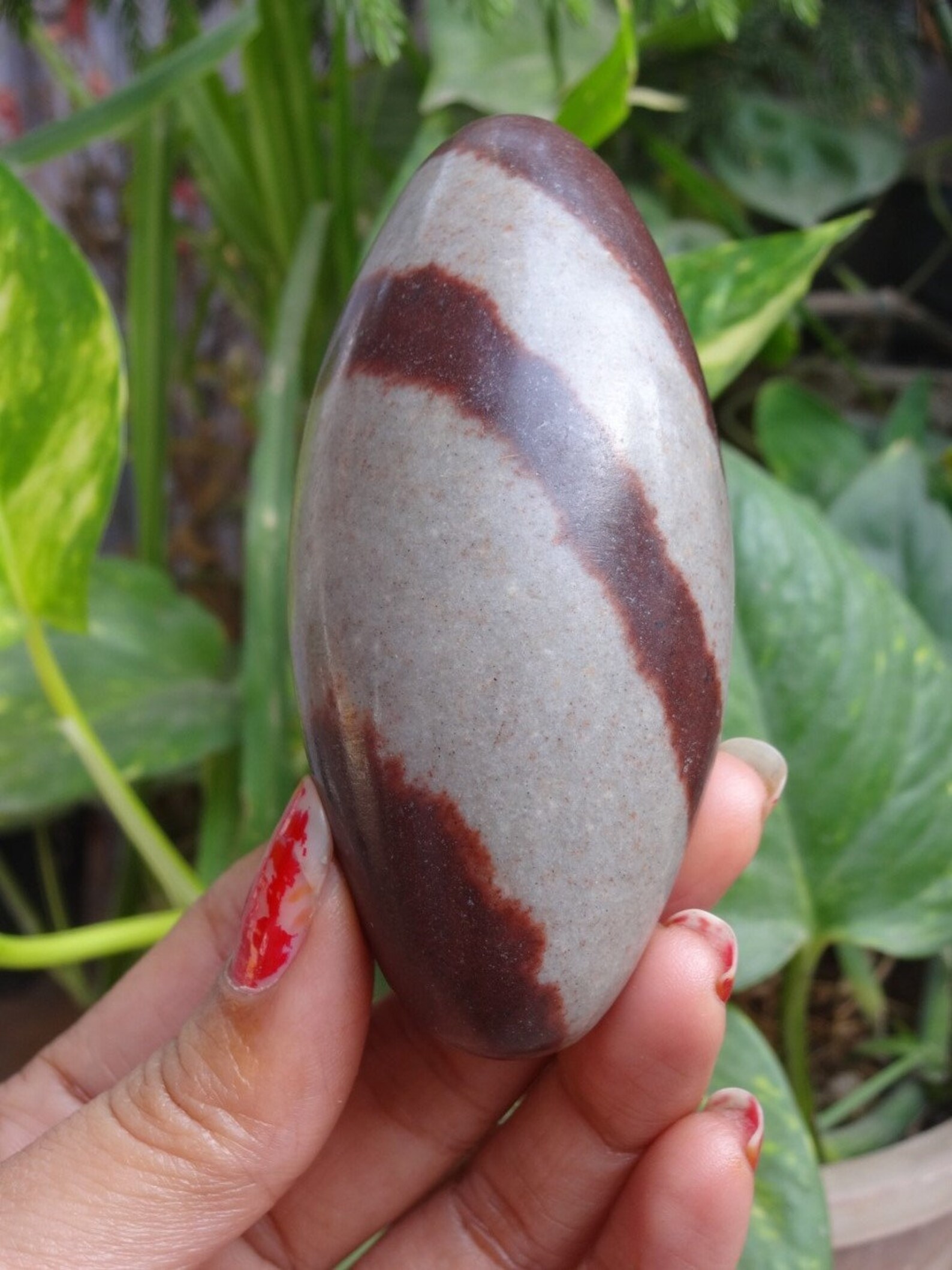 3.25 Shiva Lingam Stone Narmada River India Special Rare | Etsy