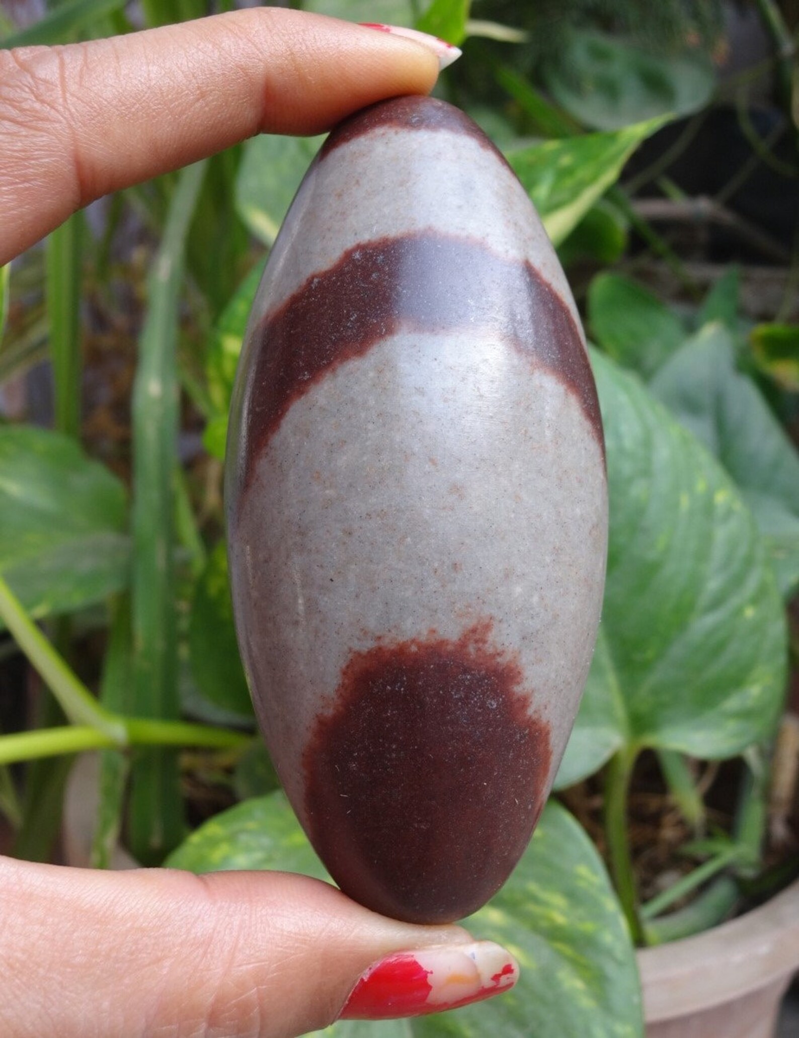 3.25 Shiva Lingam Stone Narmada River India Special Rare | Etsy