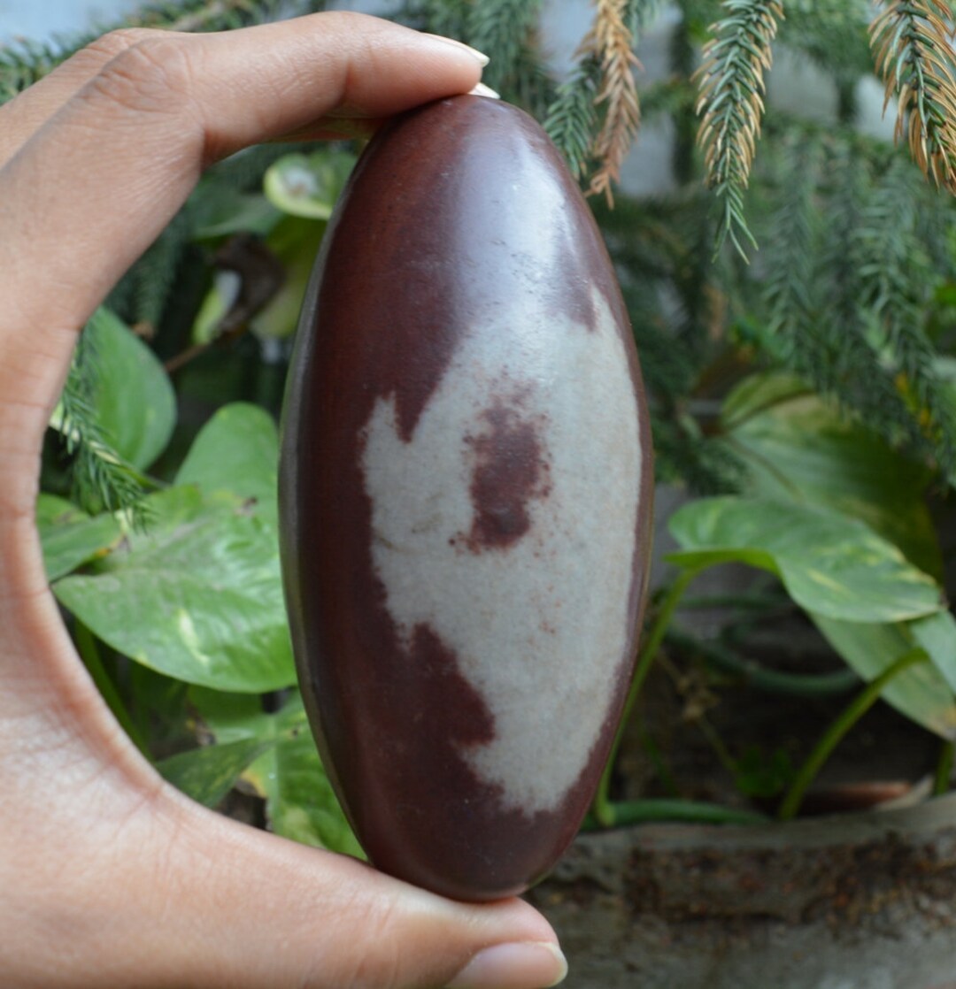 3.5 Inch Shiva Lingam Stone Narmada River Stone Shiva Lingam Sacred ...