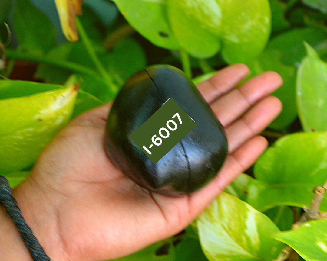2.75,2 Sudarshan Saligram Stone,natural Shaligram Fossilized Shell ...