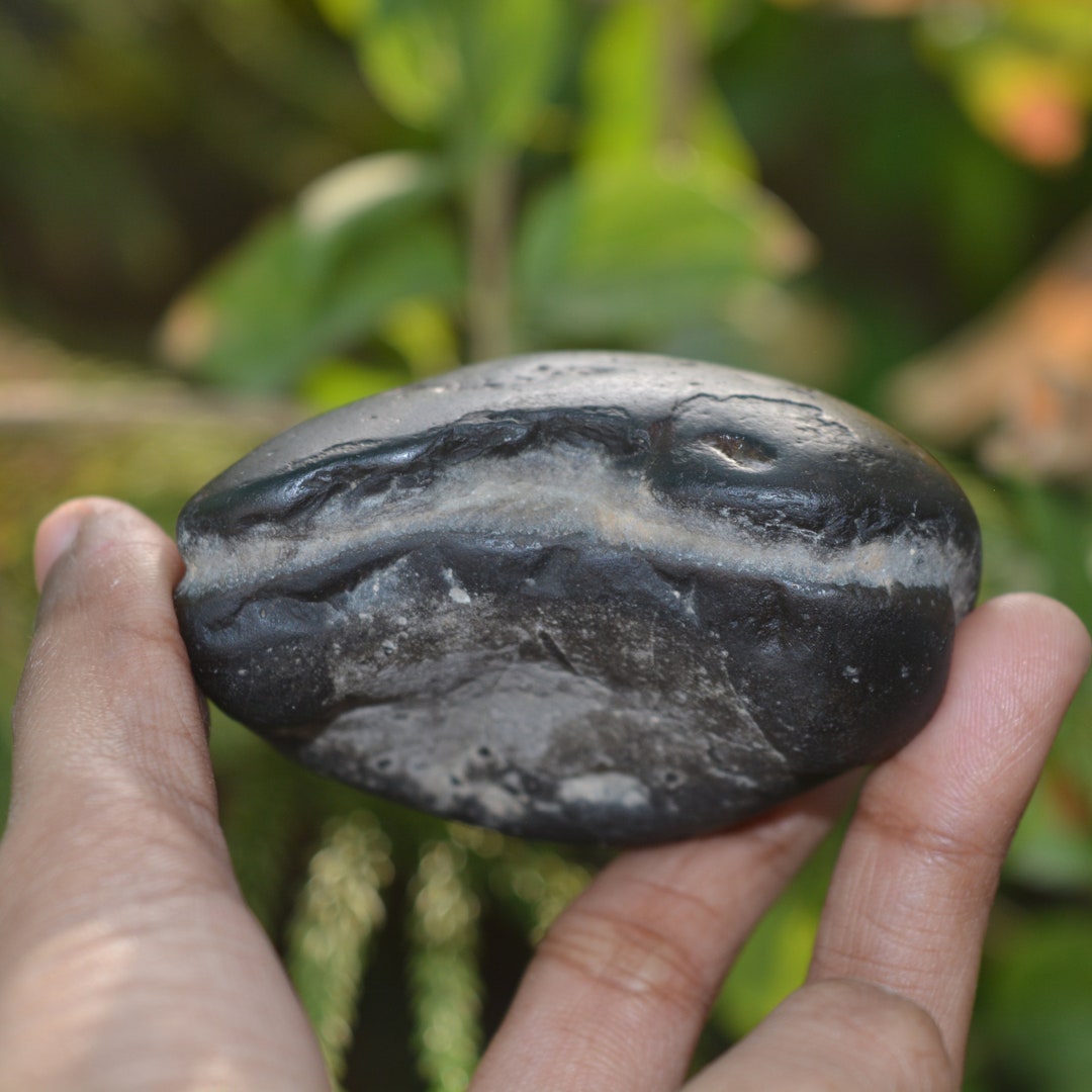Ram Shaligram Saligram Stone Gandaki River Nepal shaligram Stone Ritual ...