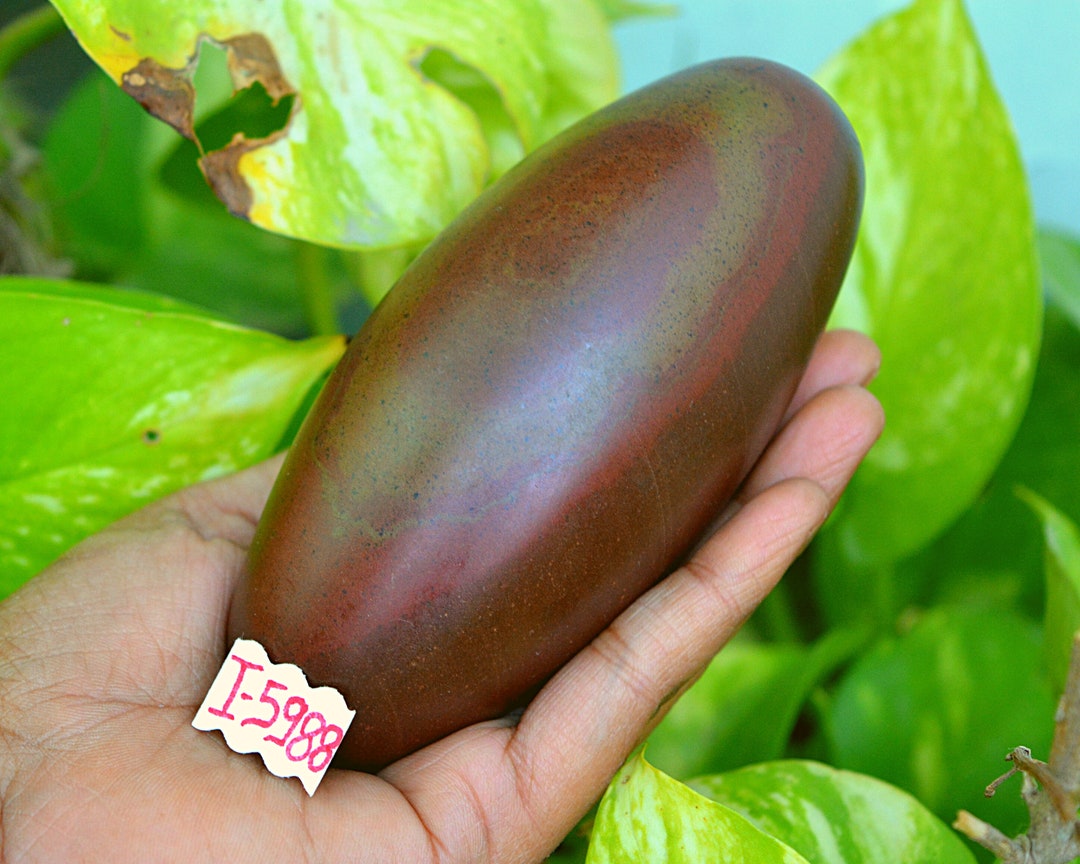 4.5special Shiva Lingam Narmada Stone Narmada River Healing Meditation ...