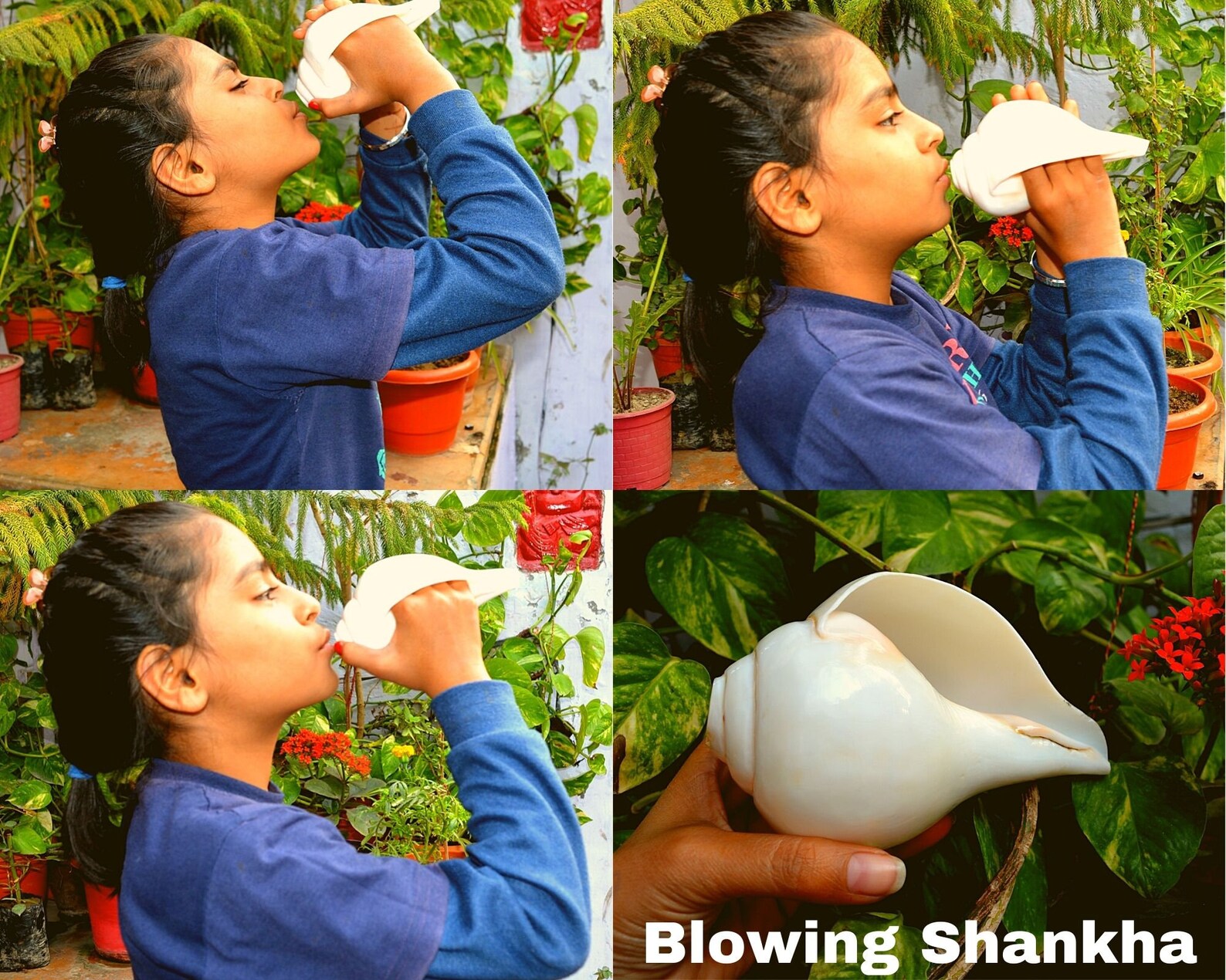 Conch Shell Puja-blowing Shankh Sound Brings Prosperity - Etsy