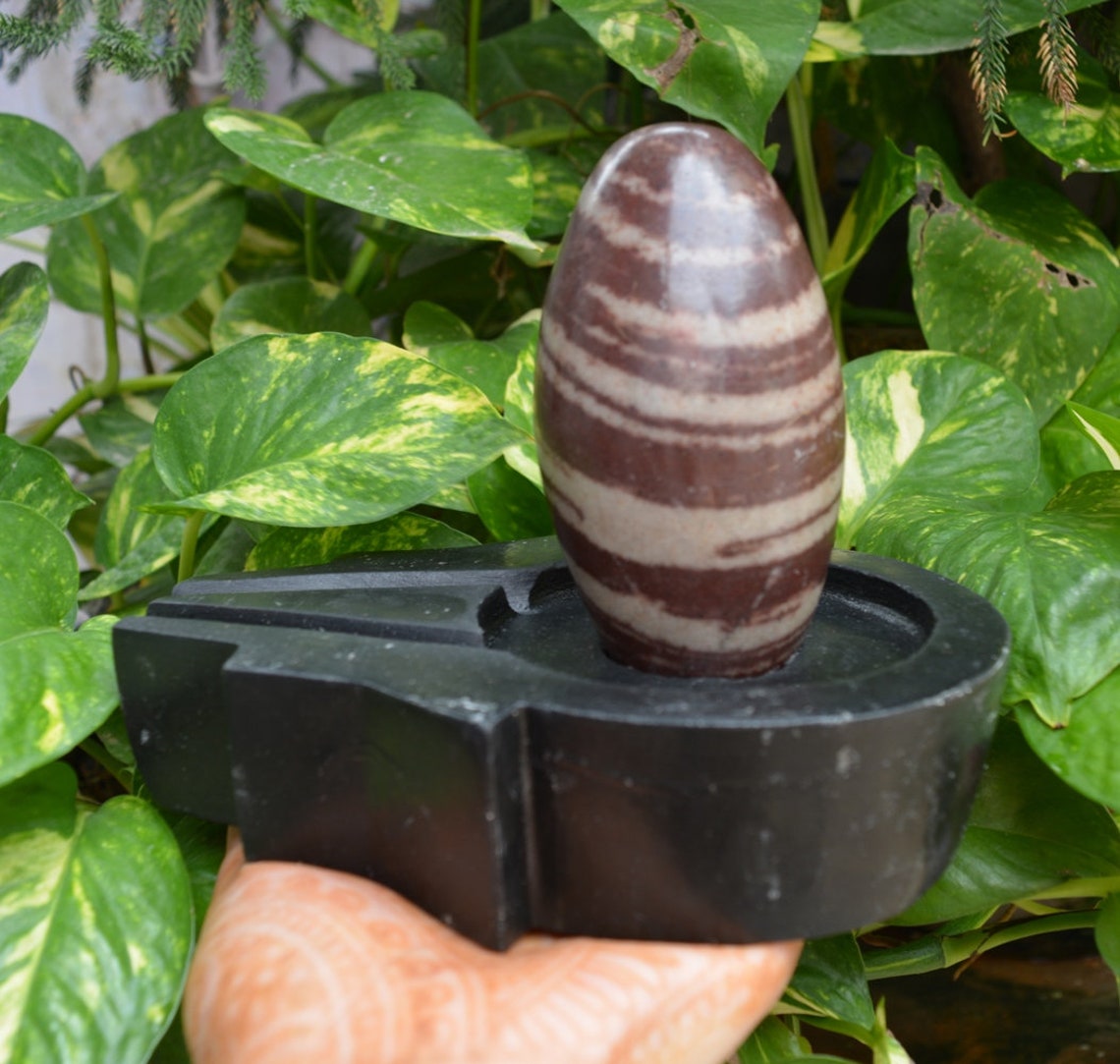 6 Handmade Black Stone Yoni Base with 4 Rare | Etsy