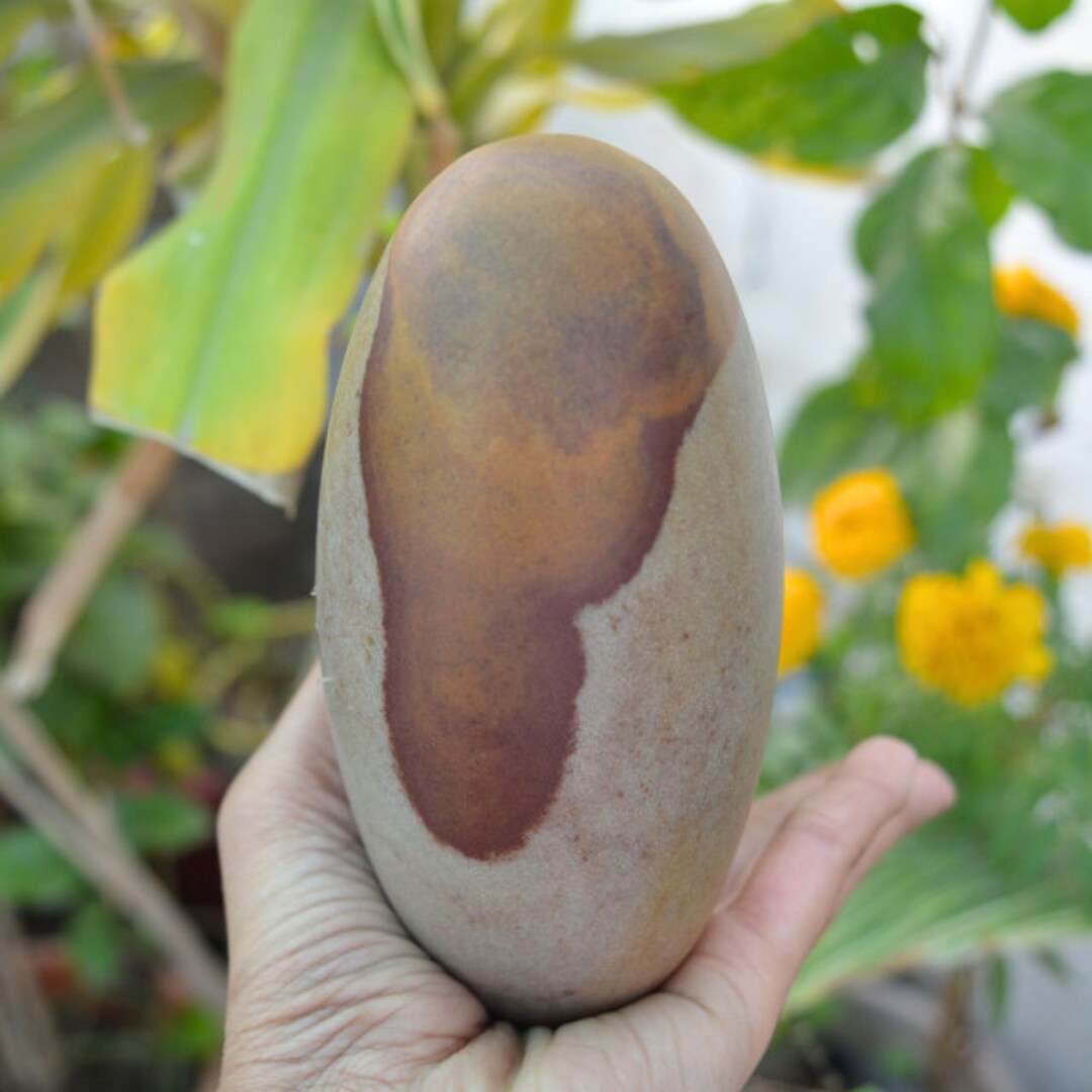 4.75 Beautiful Shiva Lingam Energy Stone Shivlingam Sacred Shiva Lingam ...