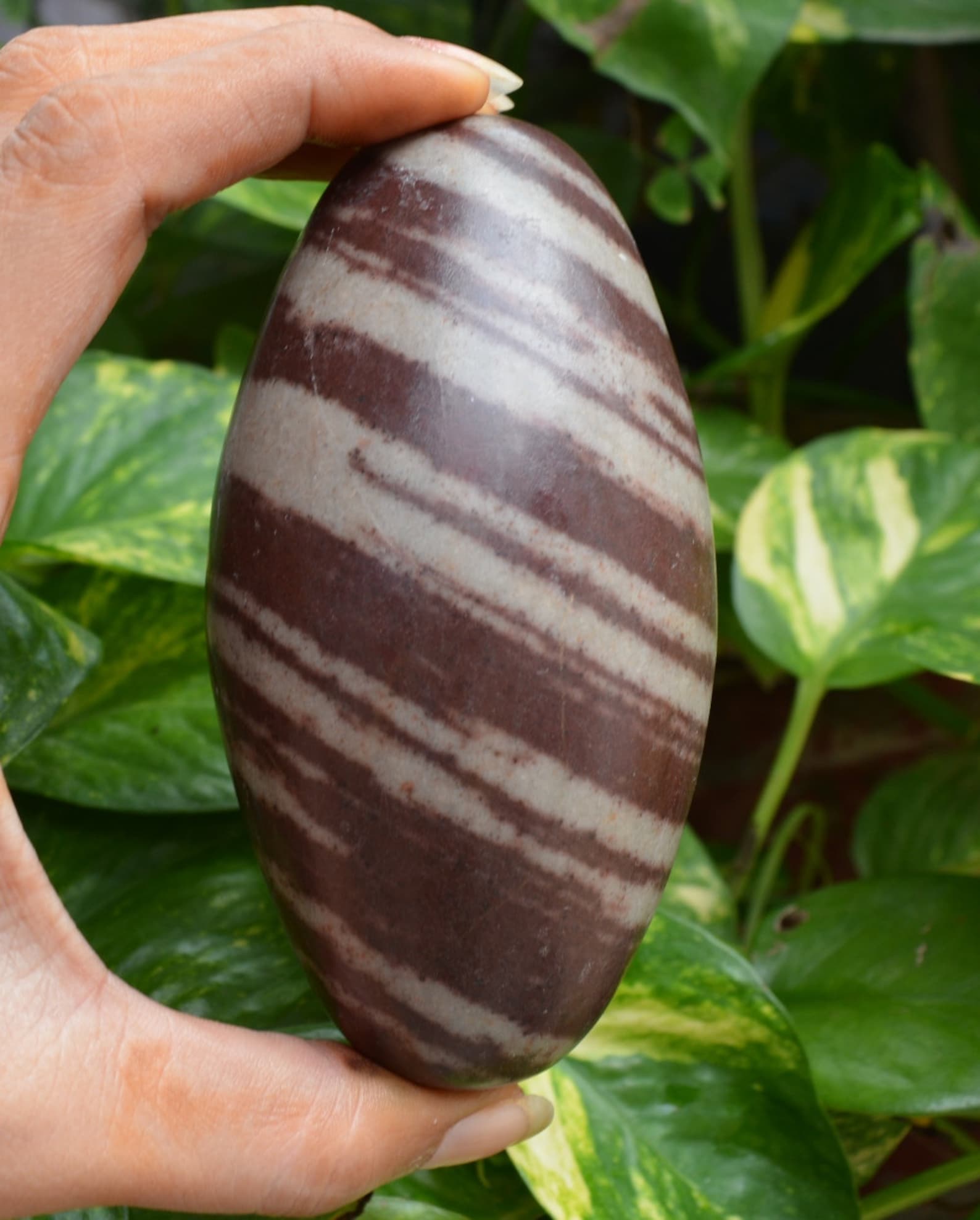 6 Handmade Black Stone Yoni Base with 4 Rare | Etsy