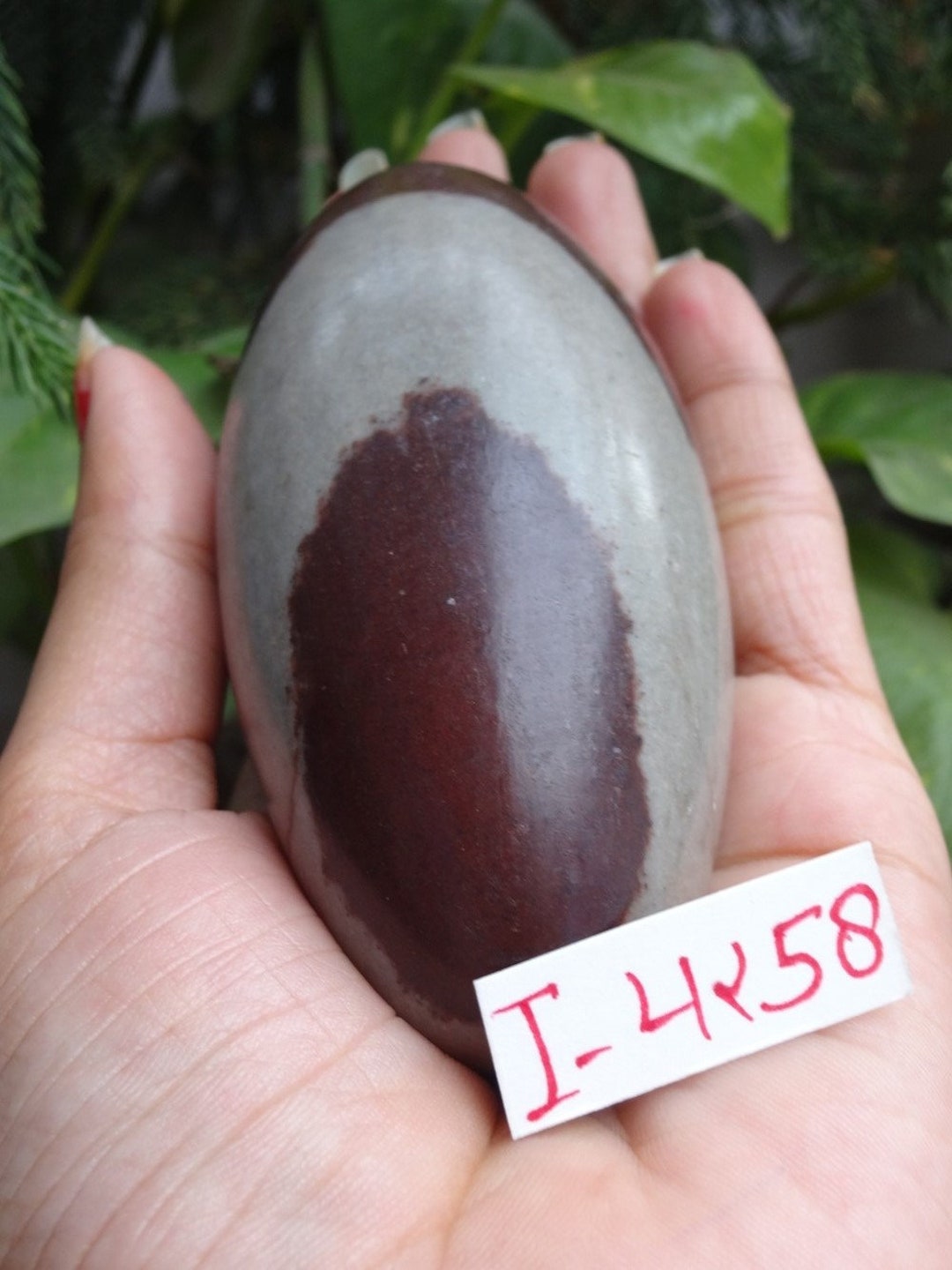 3.75 Sacred Stone Original/egg Shape Narmada Shivling Elongated Egg ...
