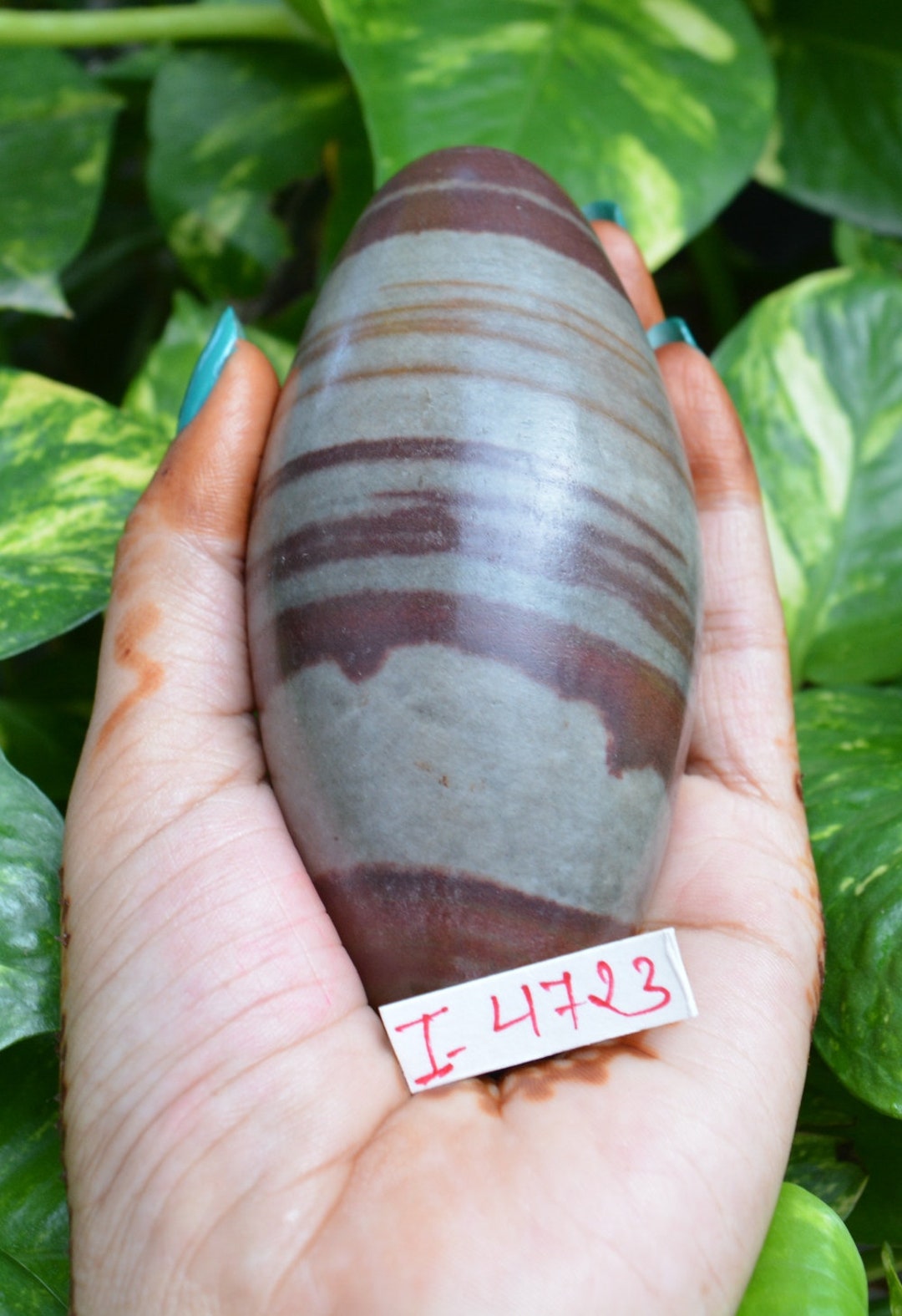 4 Inch Shiva Lingam Stone Narmada River India Nice & - Etsy
