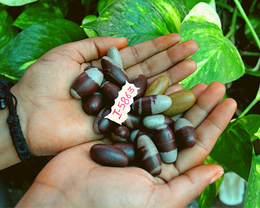 1 Shiva Lingam Stone, Small Shiva Lingam Sacred Stones From Narmada ...