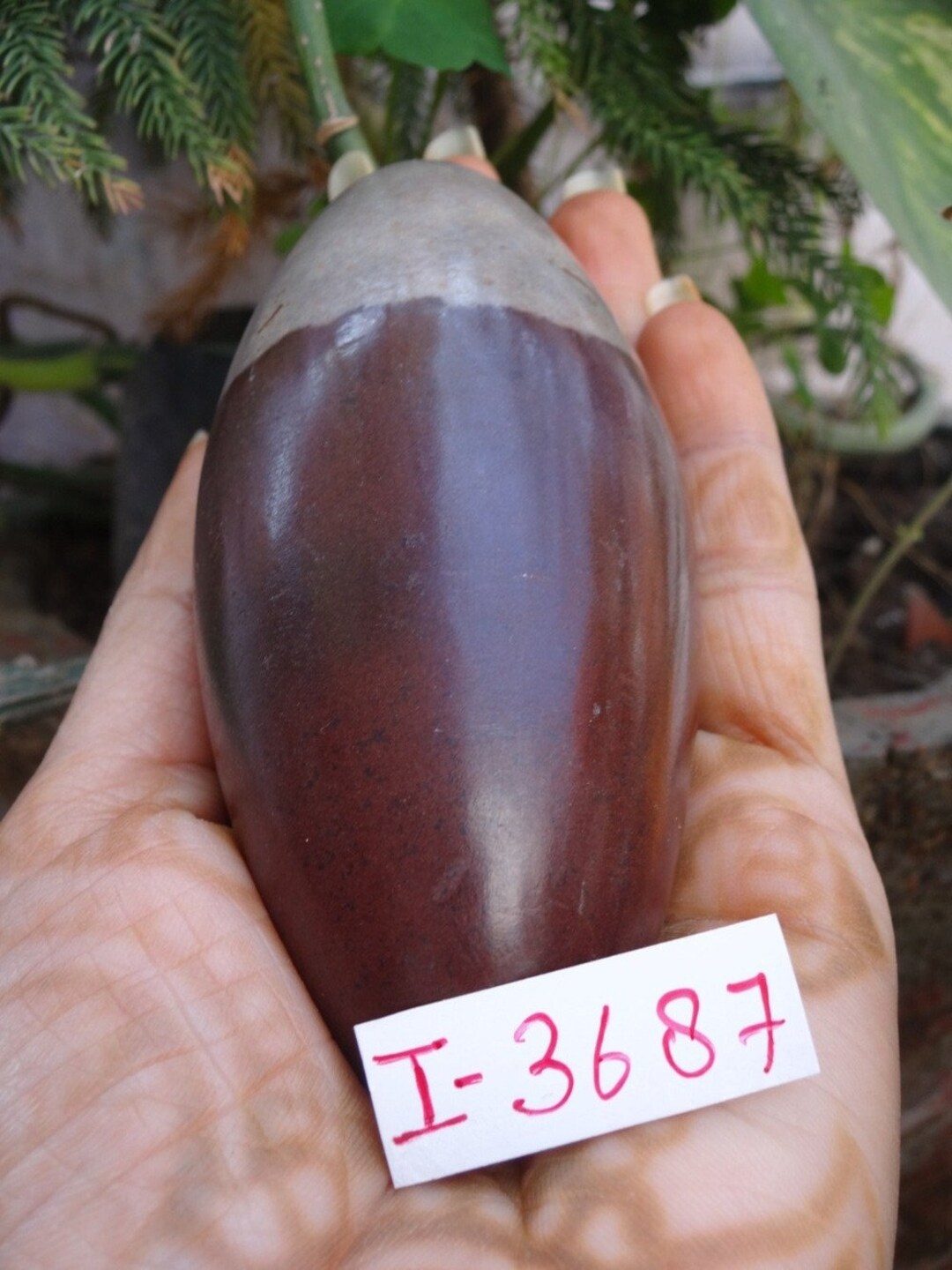 4 Inch Narmada Shiva Lingam Banalinga Stones - Etsy