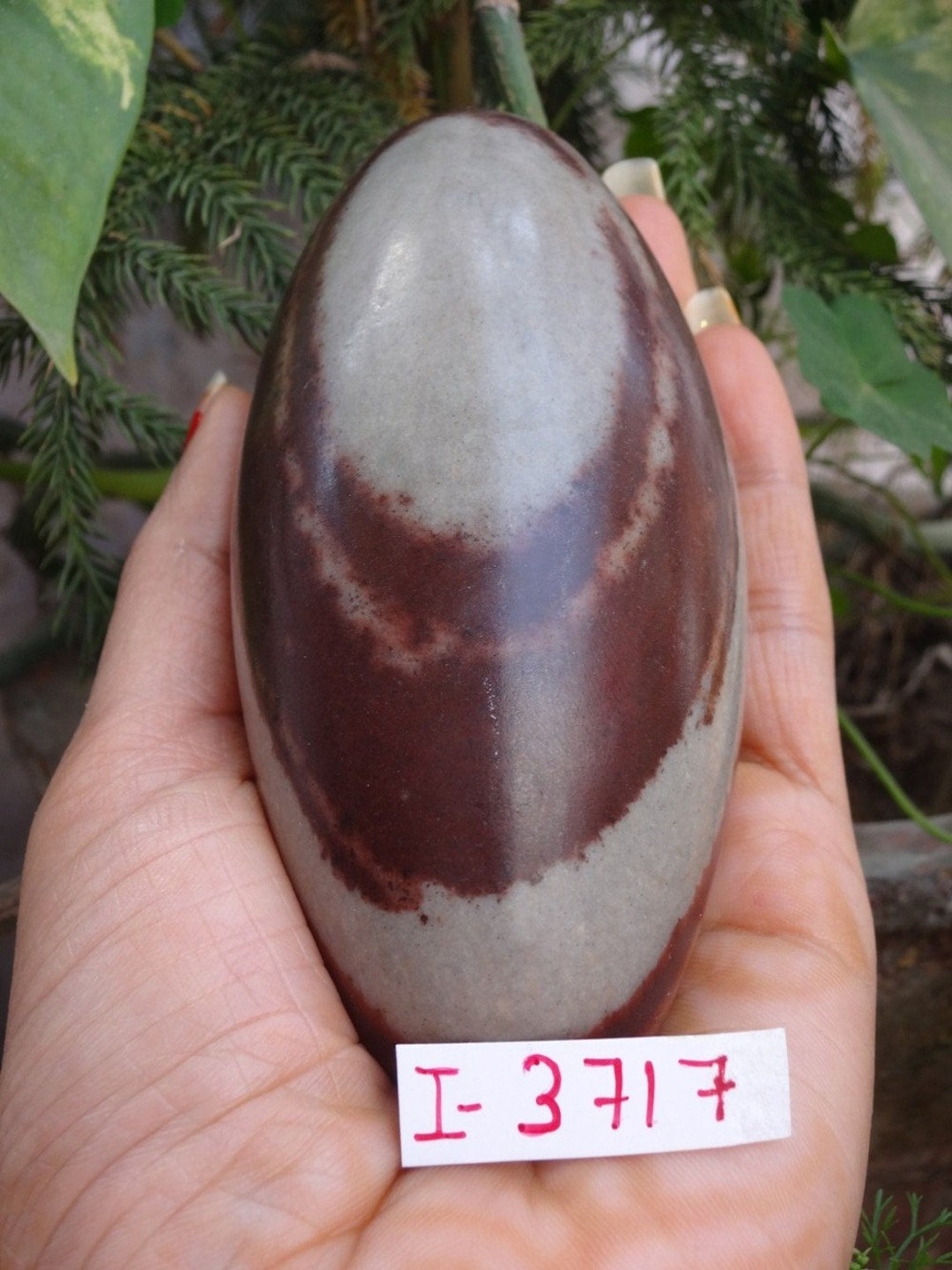 4.25 Sacred Stone Original/egg Shape Narmada Shivling Elongated Egg ...