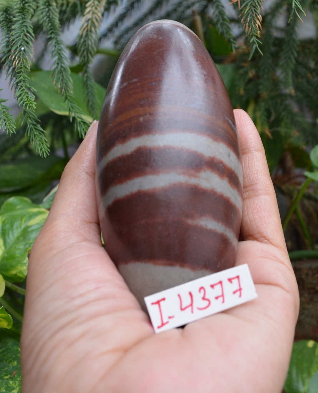 Shiva Lingam Stone-narmada River Stone-4 Inch Shiva Lingam - Etsy