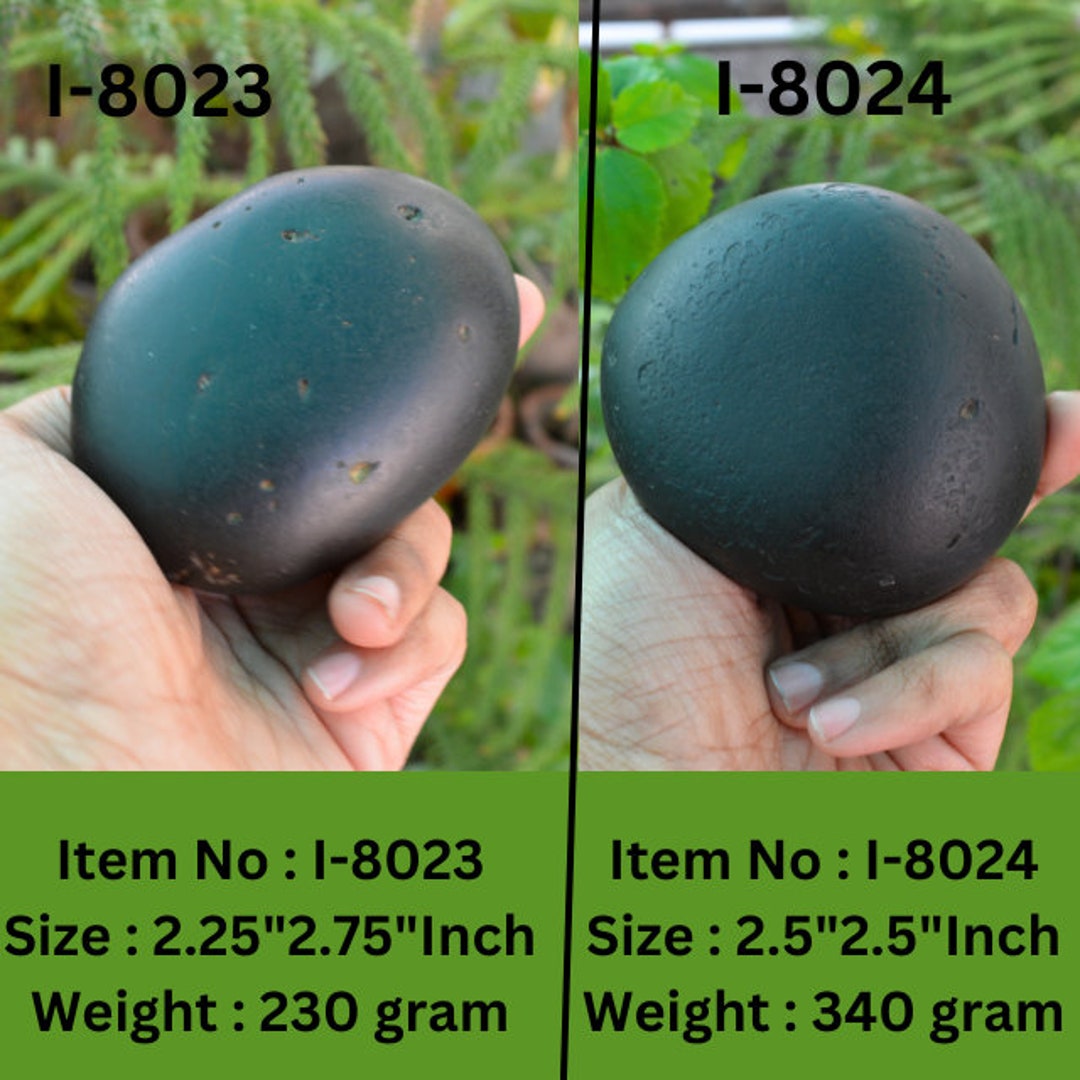 Natural Shaligram Stone Laxmi Narayana Black Shaligram Stone From ...