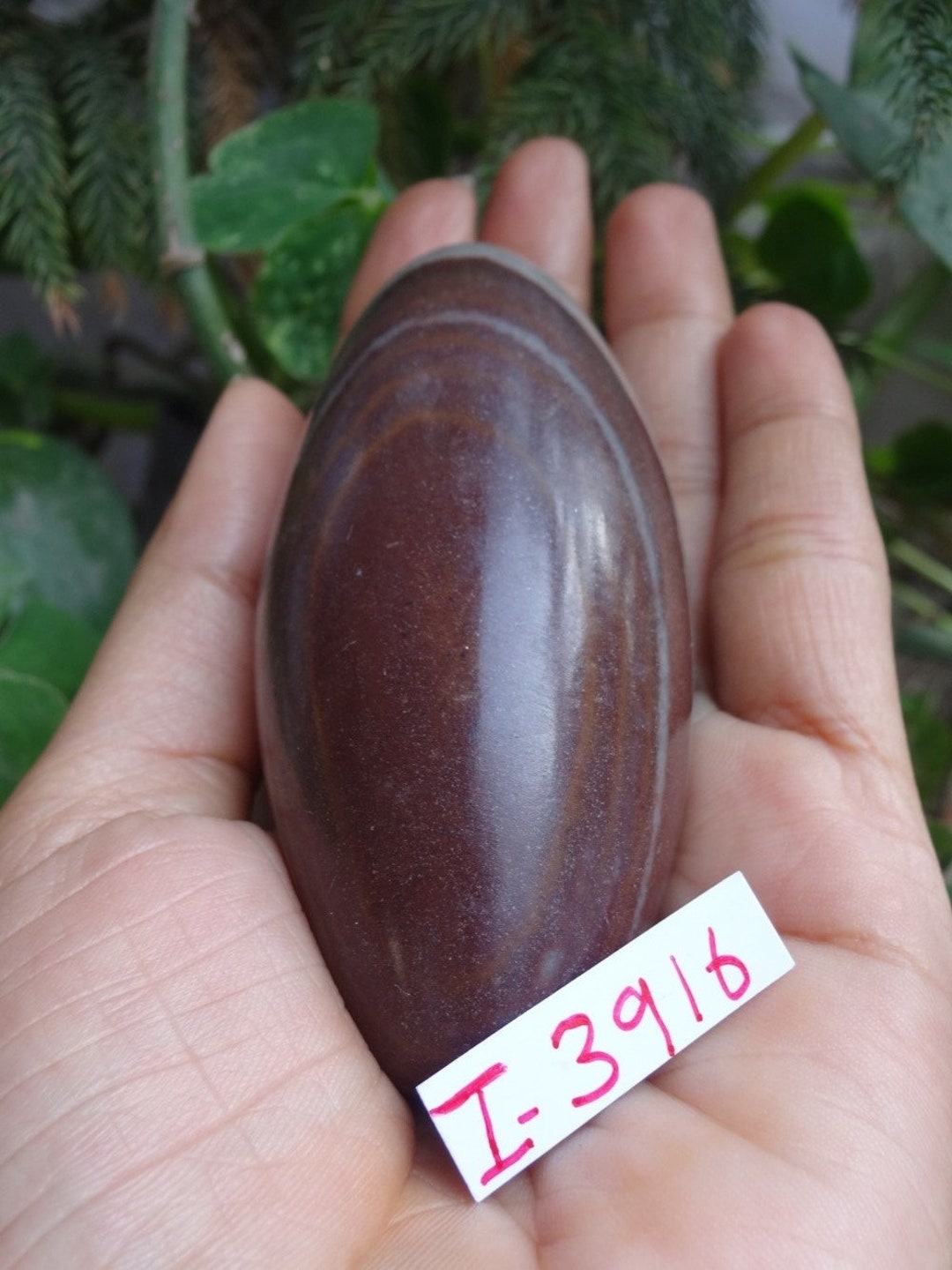 3.25unique Shivling Special Marking Mahakal Banalinga Sacred ...