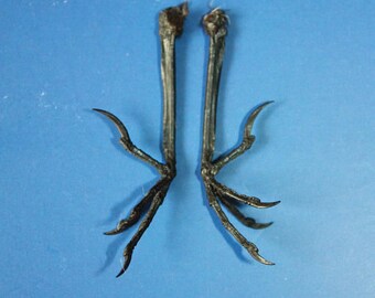 Hoodoo chicken feet | Etsy