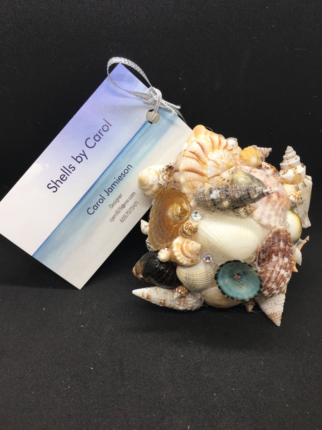 3 Inch Shell Decor - Etsy