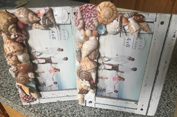 Seashell Frames - Etsy