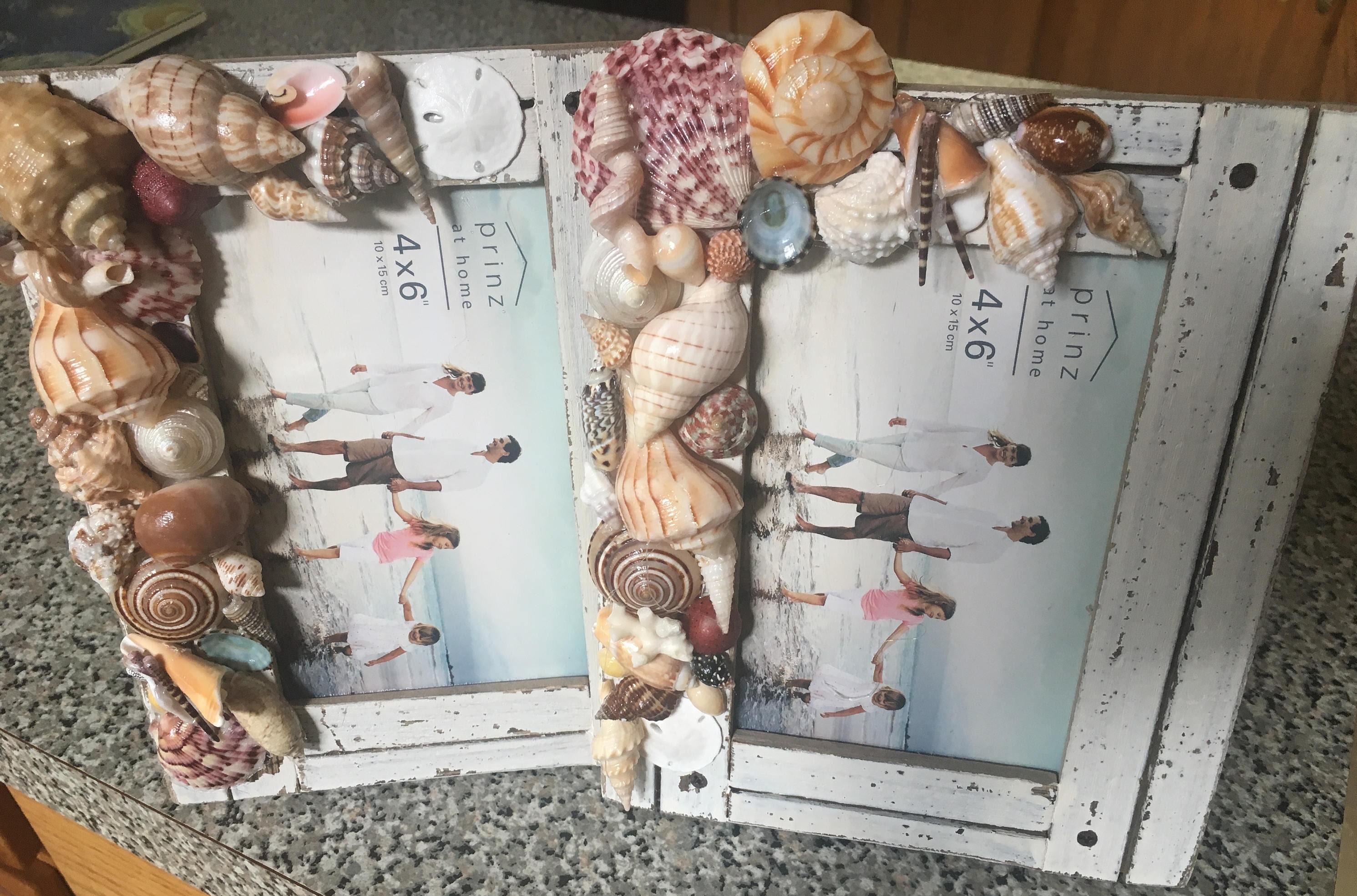 Seashell Frames - Etsy