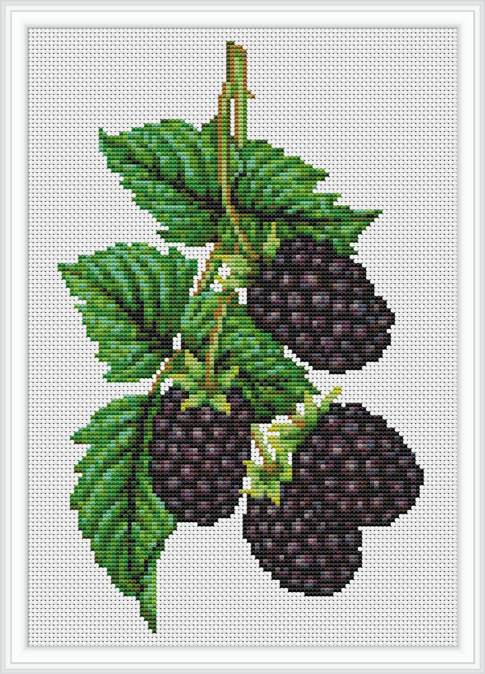 Blackberry Modern Cross Stitch Pattern PDF - Instant Download. - Etsy